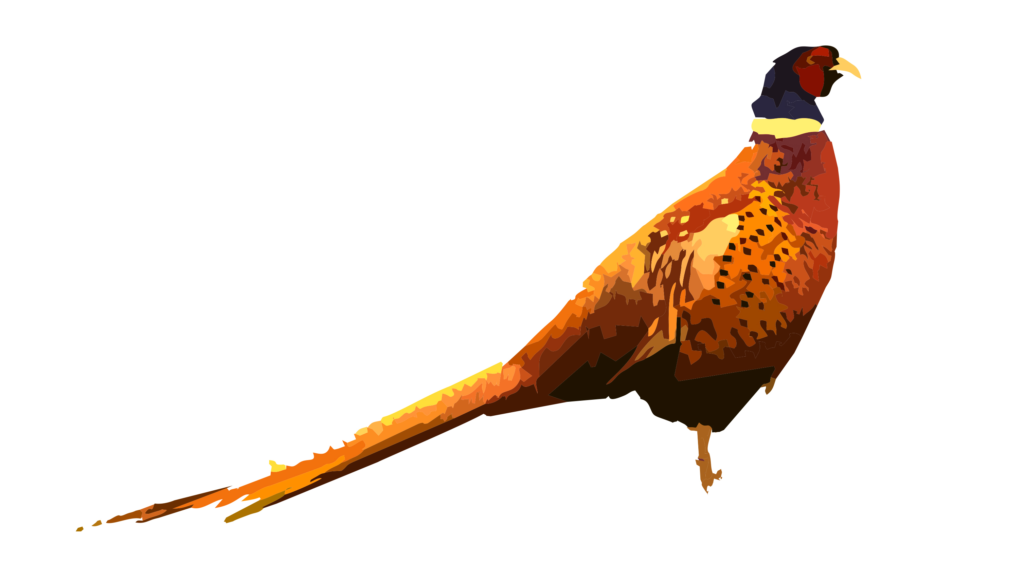 DOŁĄCZ DO NAS – rod-bazant.pl